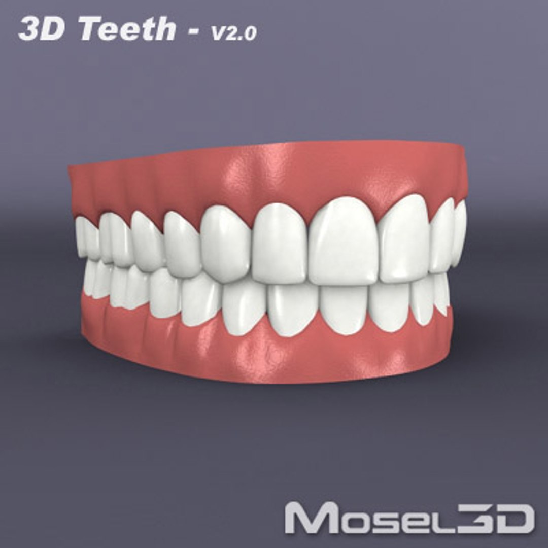 3d Model Teeth