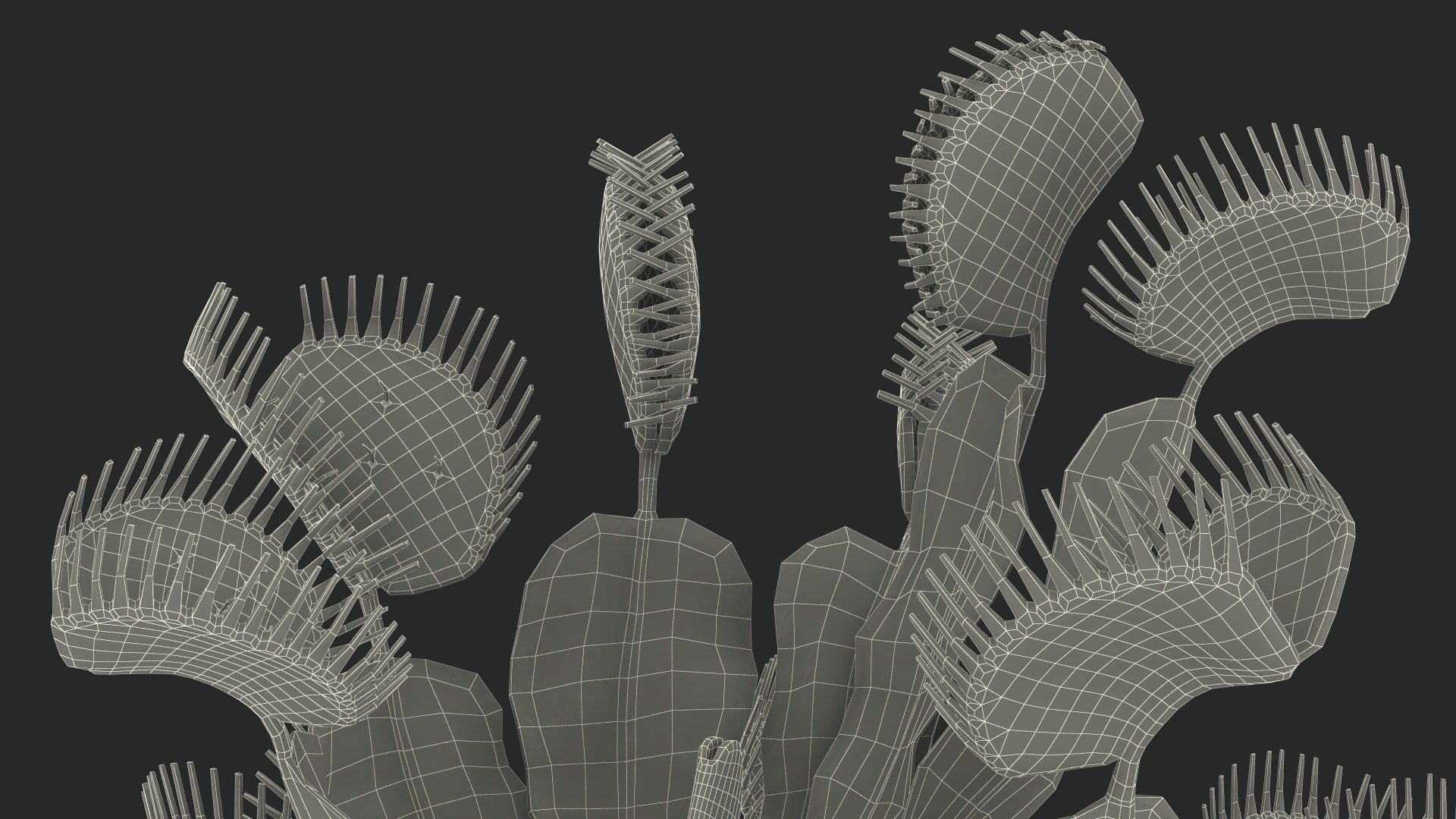 Venus Flytrap Phalanx 3D Model - TurboSquid 2236674