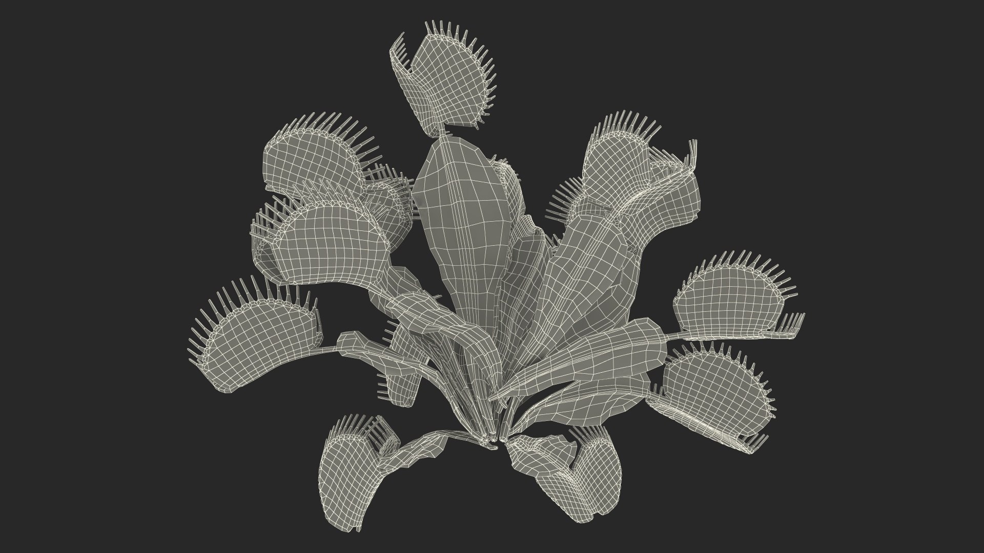 Venus Flytrap Phalanx 3D Model - TurboSquid 2236674