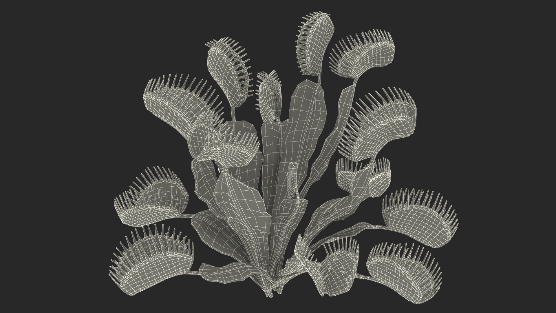 Venus Flytrap Phalanx 3D Model - TurboSquid 2236674