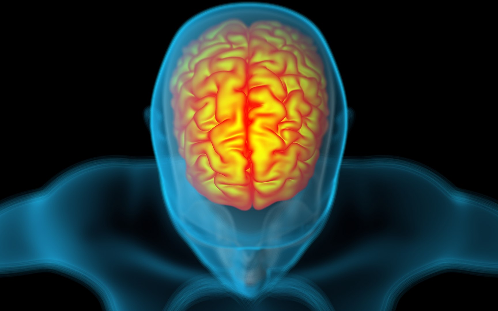 Brain X-Ray 3D Model - TurboSquid 1986061