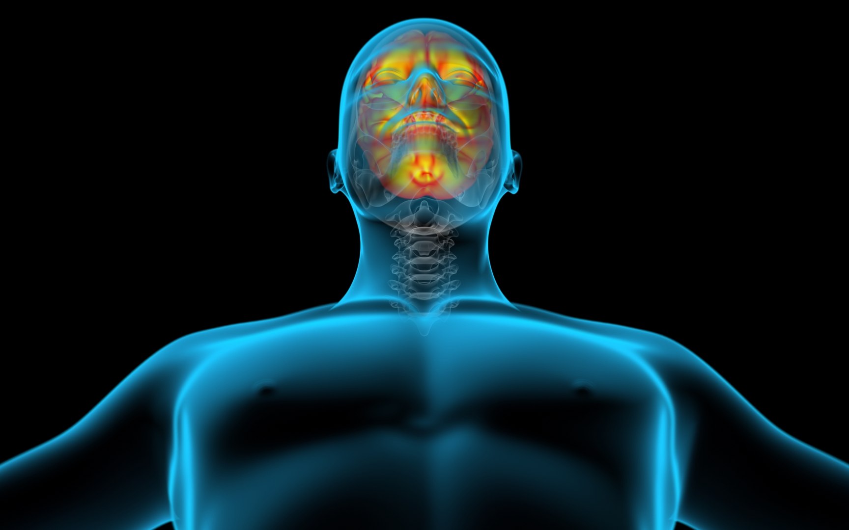 Brain X-Ray 3D Model - TurboSquid 1986061