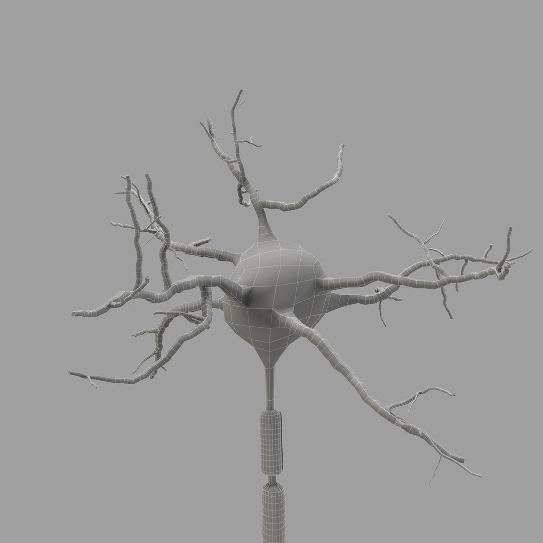 3D Motor Neuron 2 Model - TurboSquid 1159940