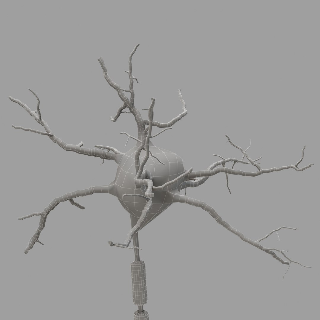 3D Motor Neuron 2 Model - TurboSquid 1159940
