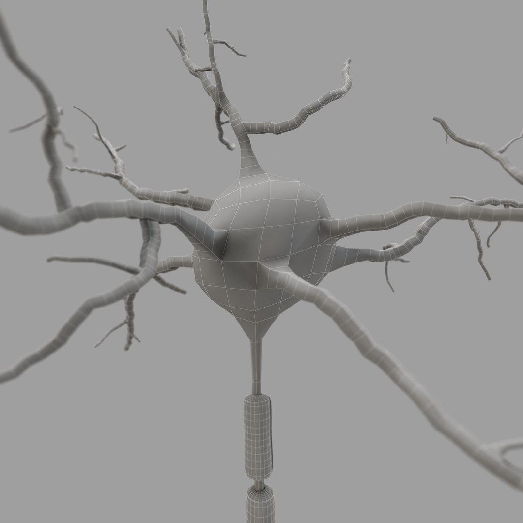 3D Motor Neuron 2 Model - TurboSquid 1159940