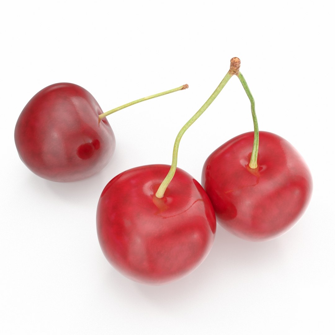 3d cherry rendering model