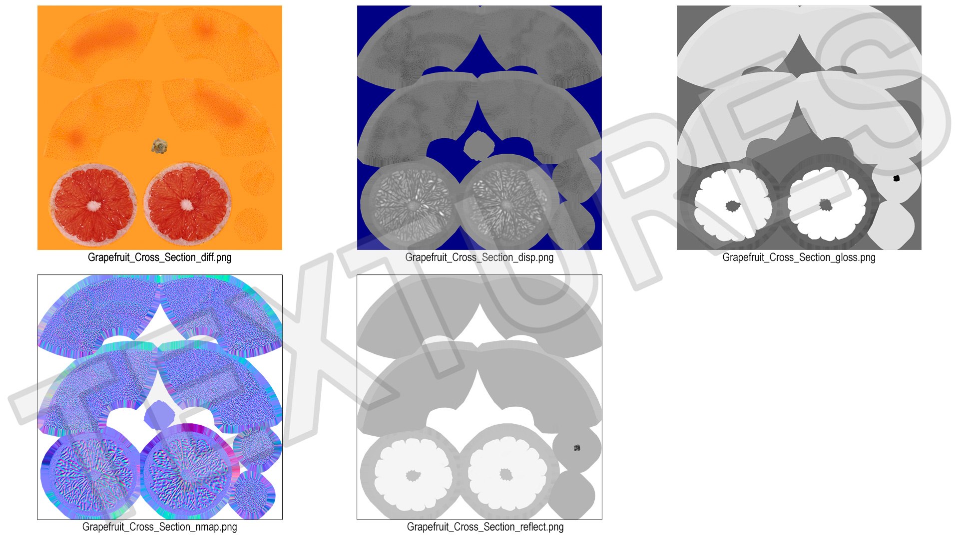 Grapefruit Citrus Fruit Cut In Half 3D Model - TurboSquid 2135077