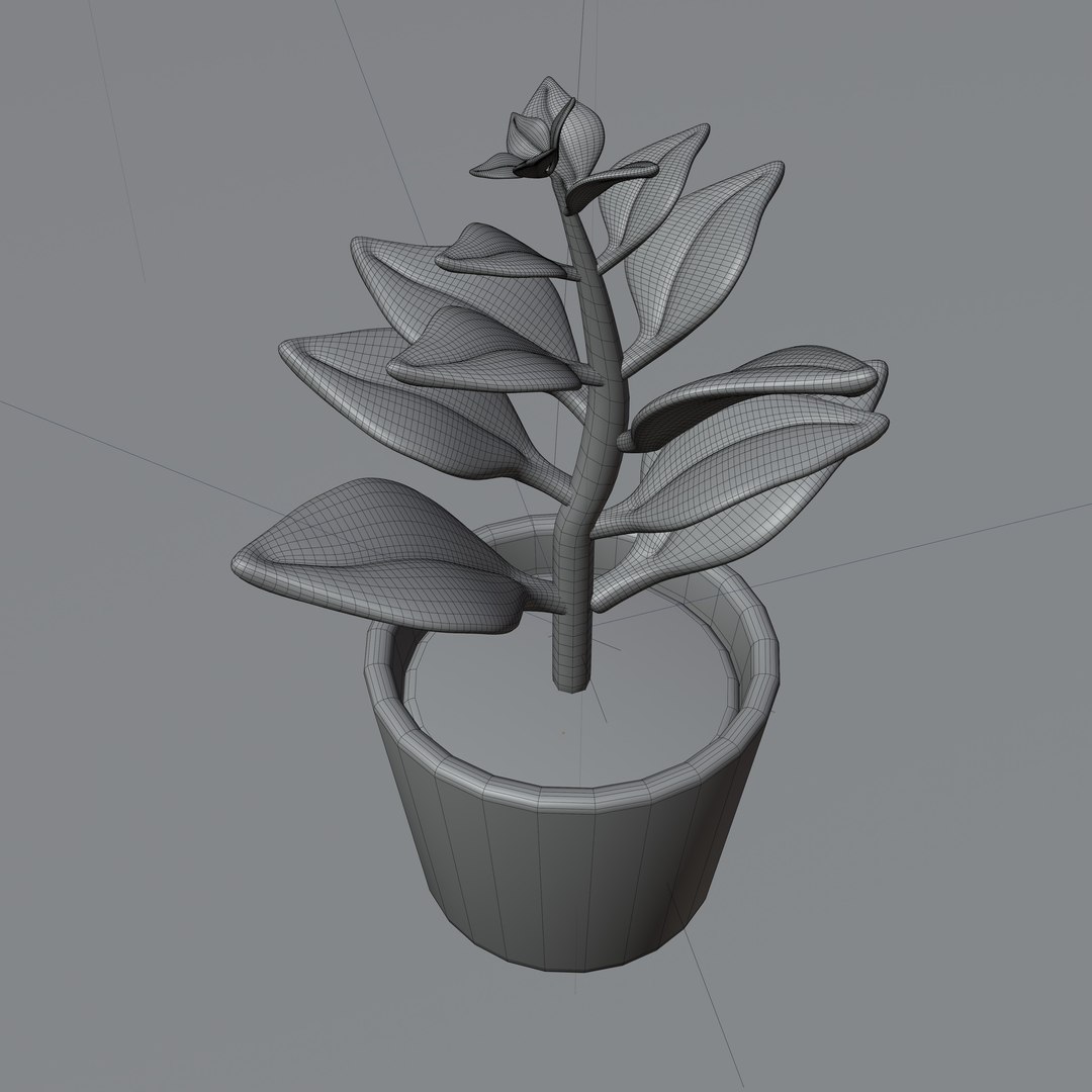 Plant 3D Model - TurboSquid 2170912