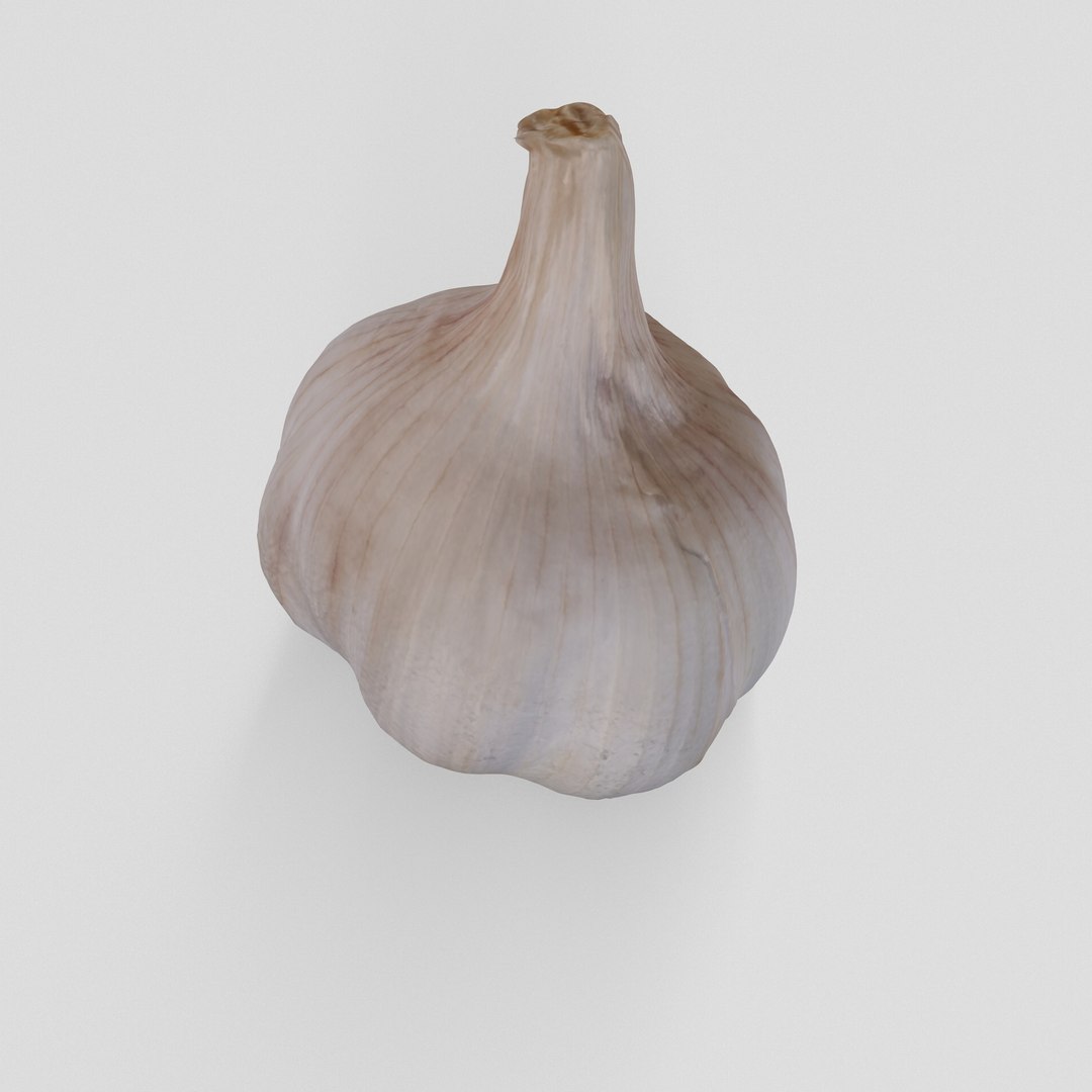 Garlic 3D Model - TurboSquid 1437063