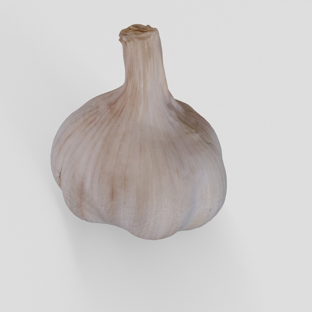 Garlic 3D Model - TurboSquid 1437063