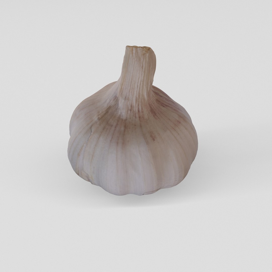 Garlic 3D Model - TurboSquid 1437063