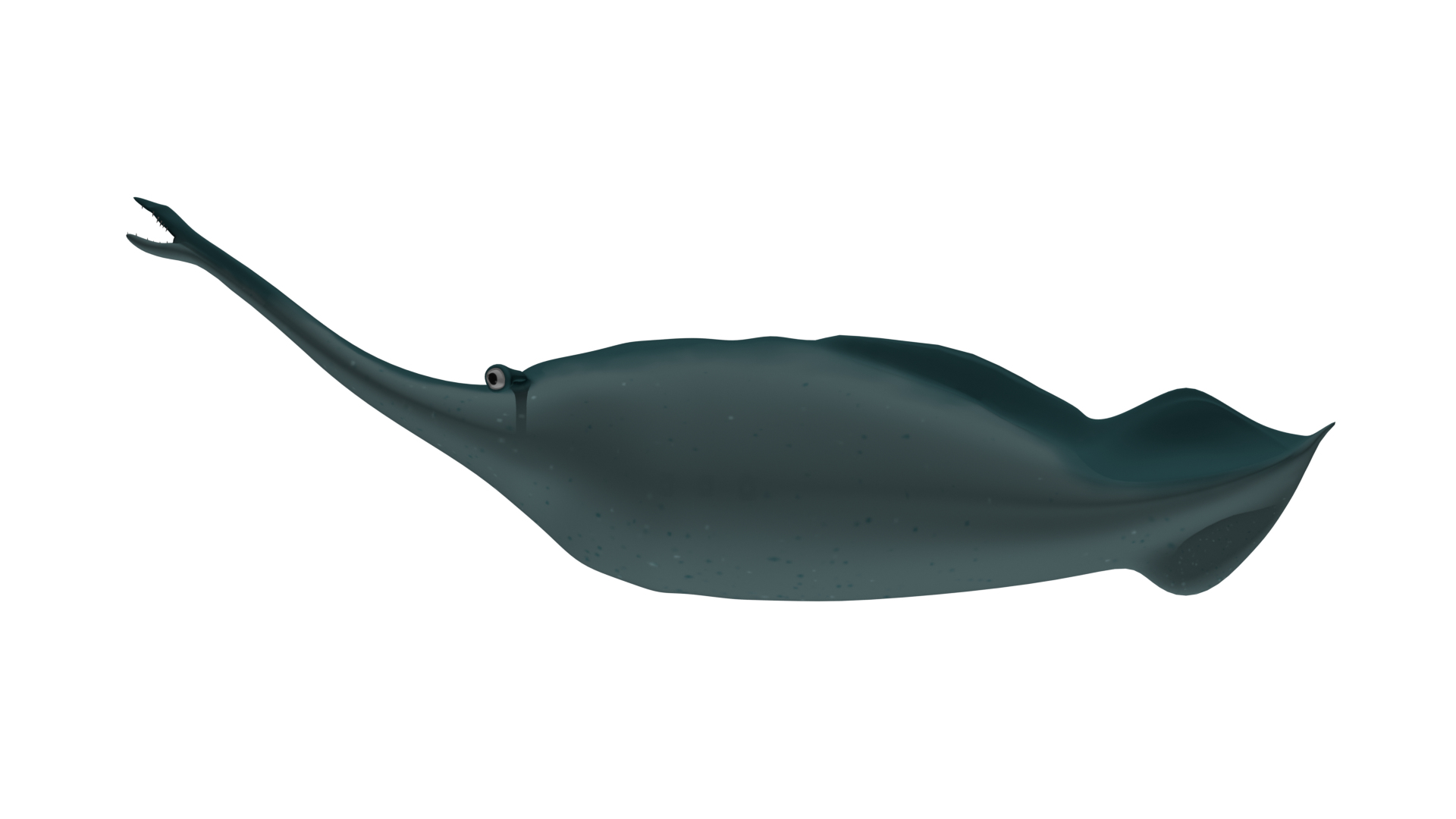 3D Sea CreatureTully MonsterTullimonstrum model - TurboSquid 2021073