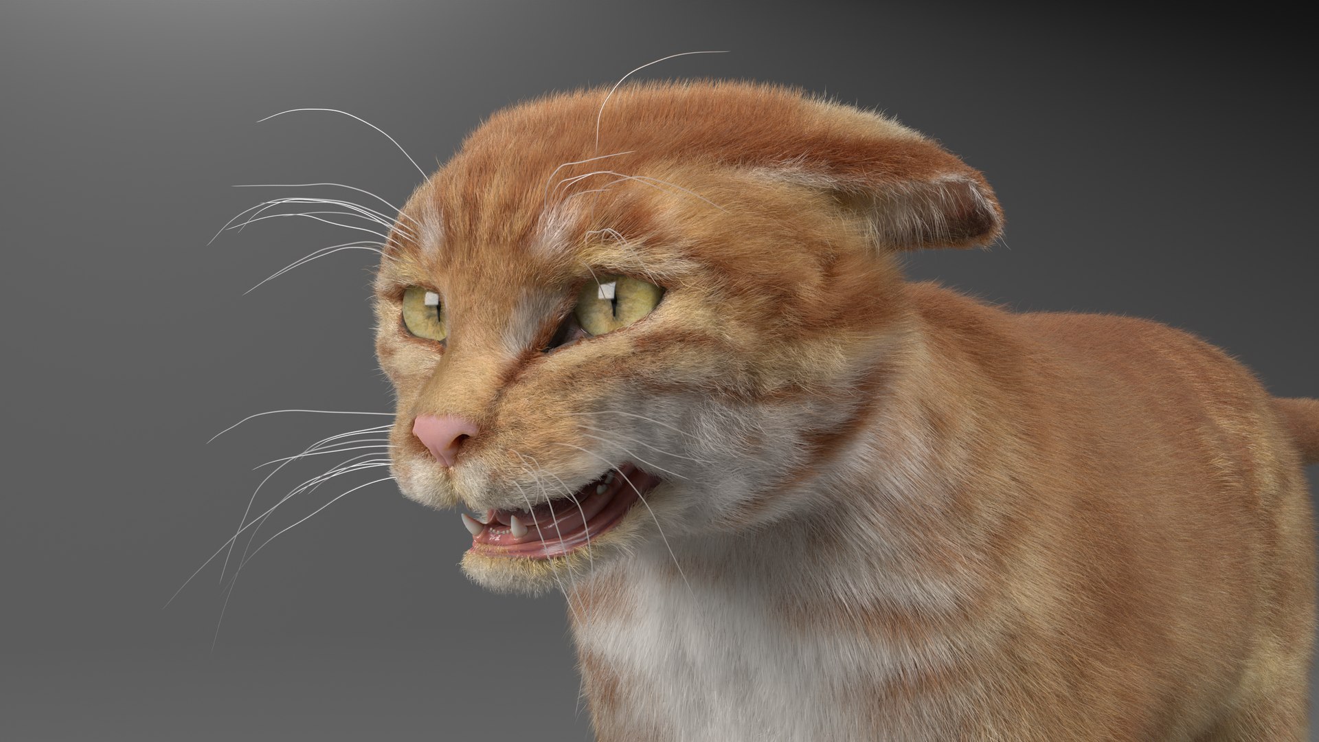 Cat Red Tabby ANIMATED model - TurboSquid 2043860