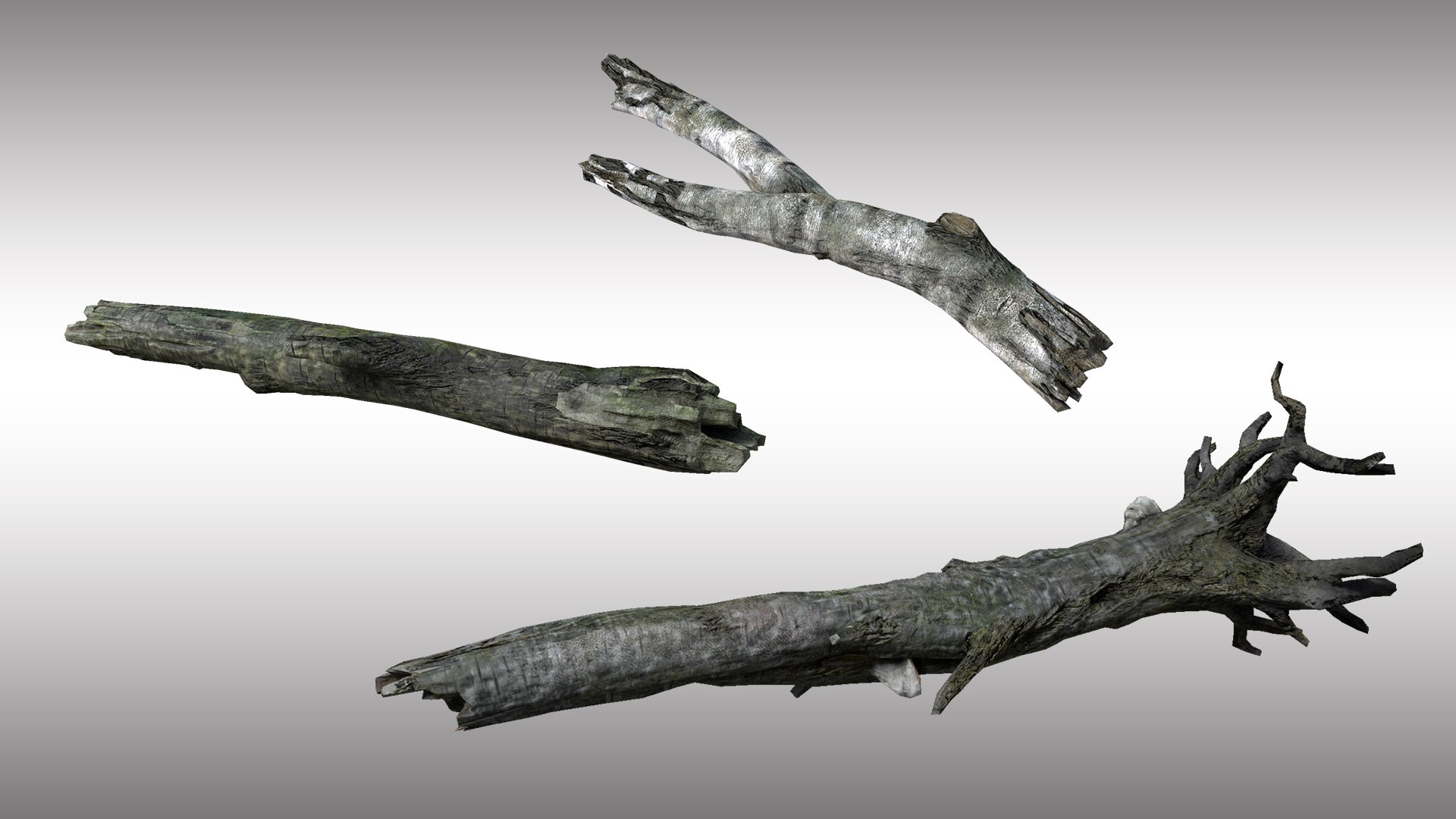 3D Tree Fallen - TurboSquid 1334857