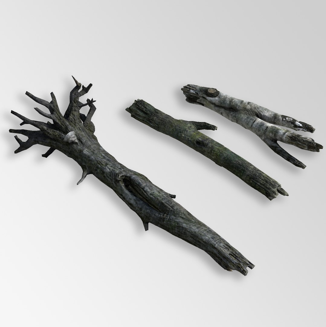 3D Tree Fallen - TurboSquid 1334857