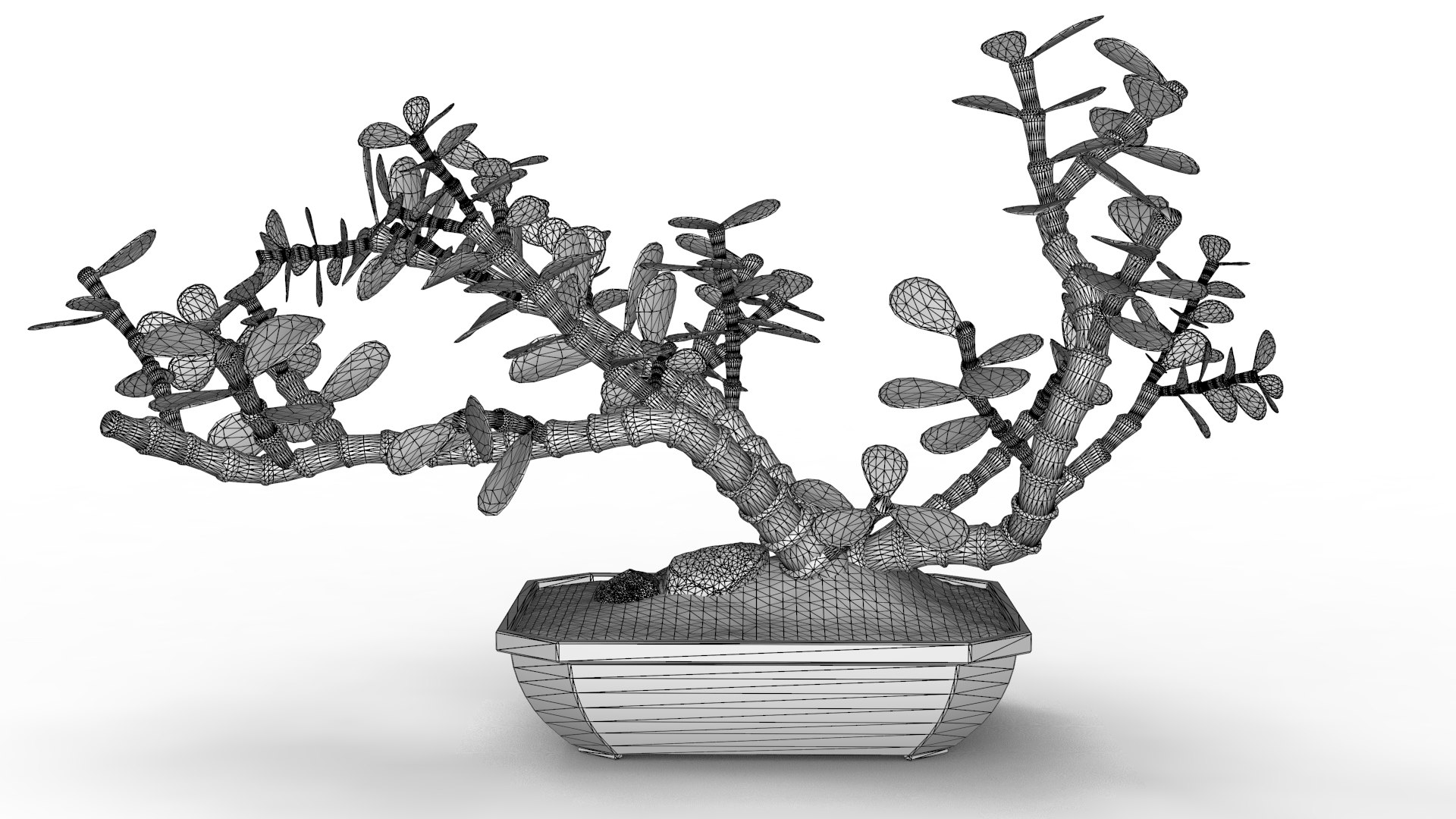 Bonsai Tree 3D Model - TurboSquid 2230390