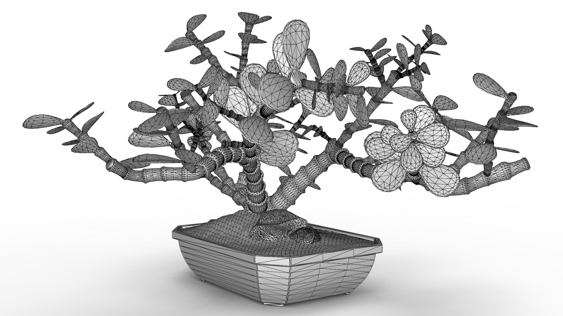 Bonsai Tree 3D Model - TurboSquid 2230390