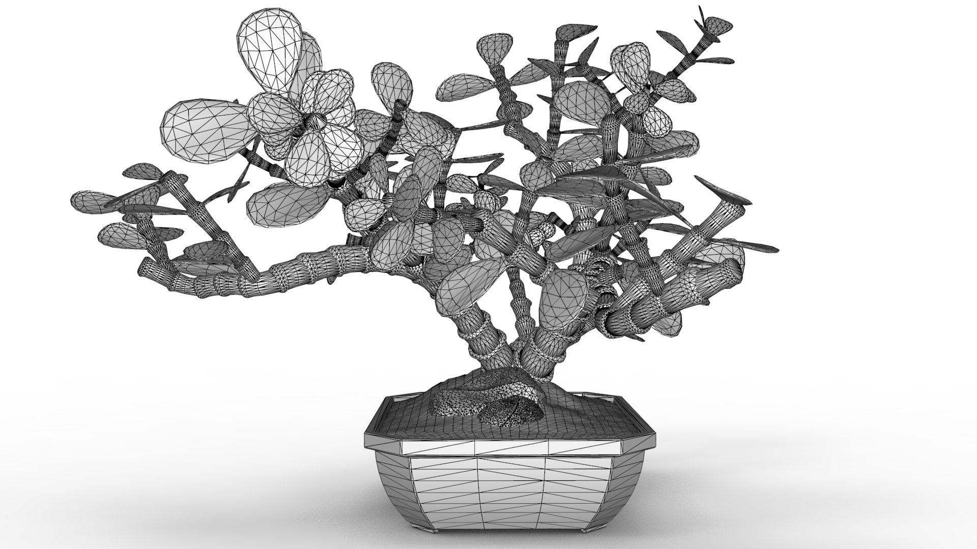 Bonsai Tree 3D Model - TurboSquid 2230390