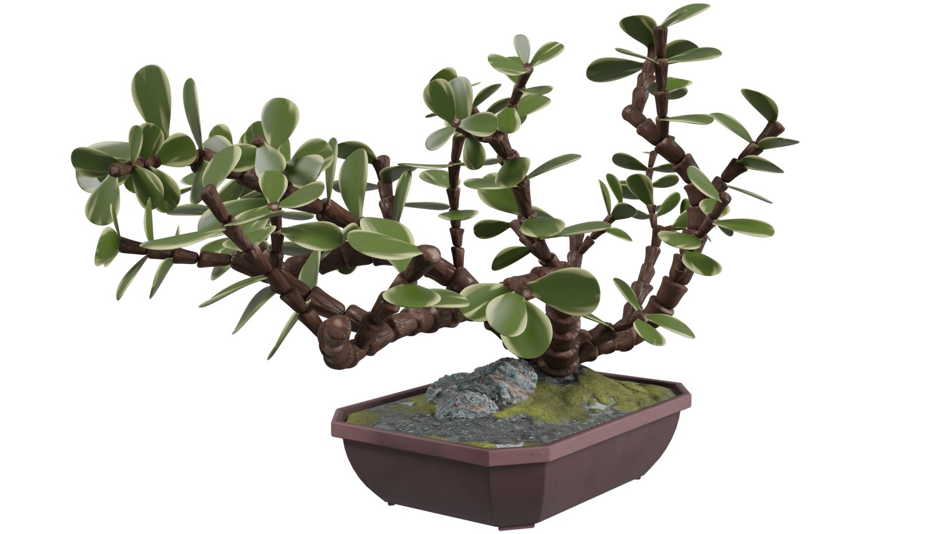 Bonsai Tree 3D Model - TurboSquid 2230390