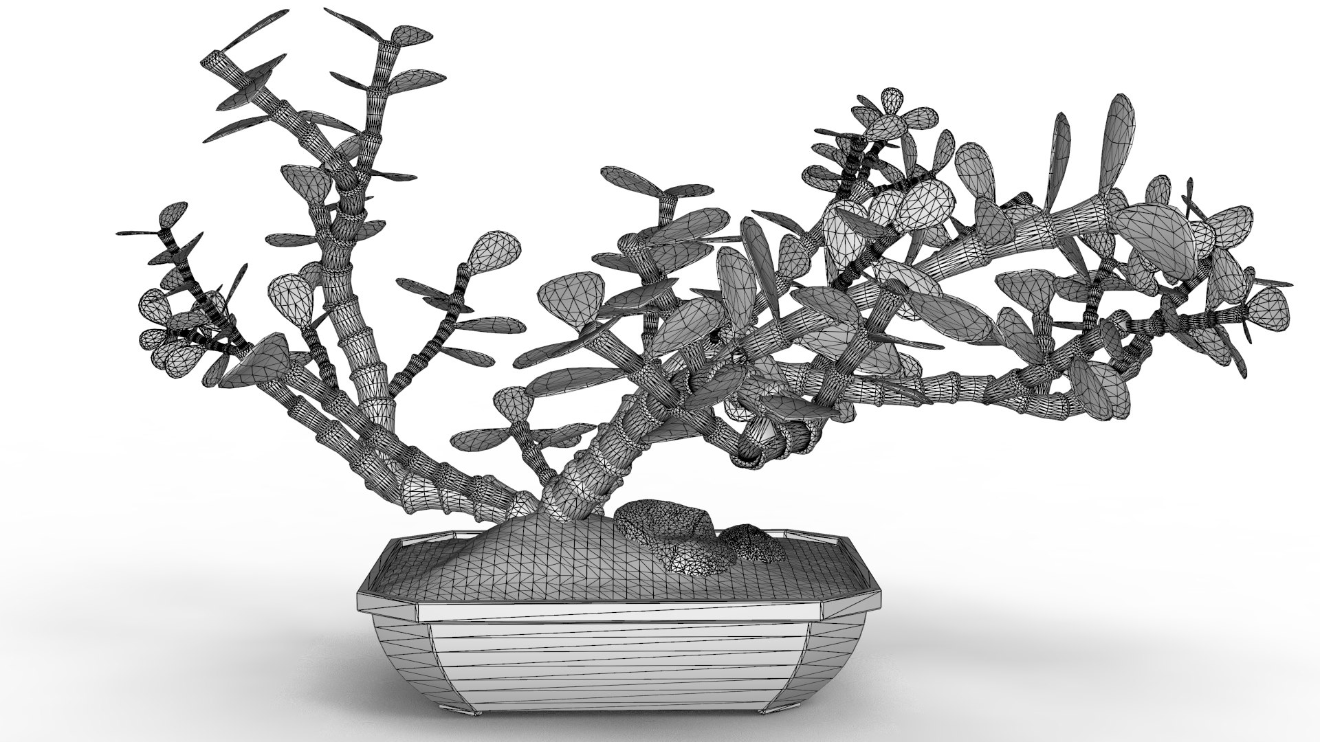 Bonsai Tree 3D Model - TurboSquid 2230390