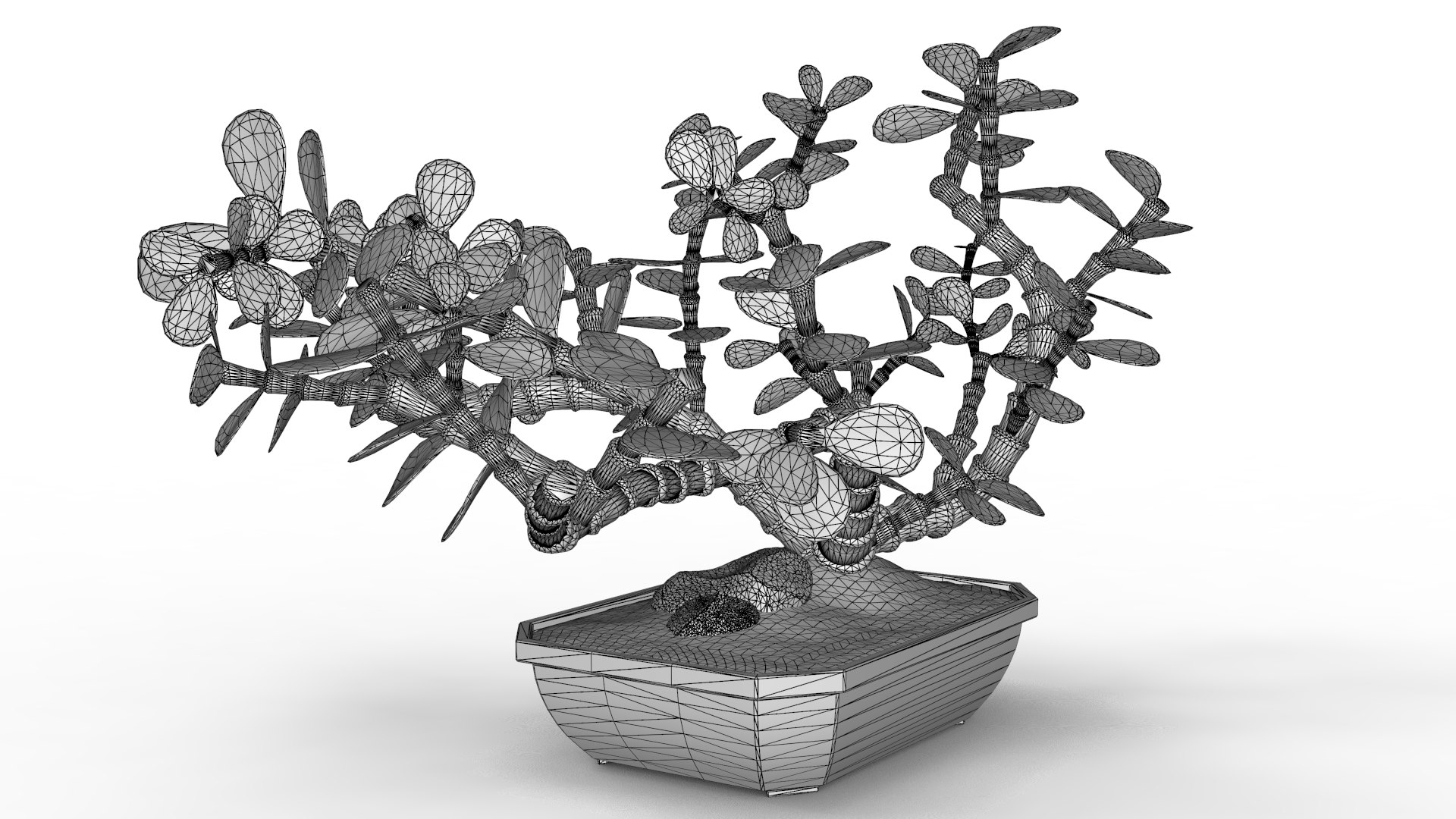 Bonsai Tree 3D Model - TurboSquid 2230390