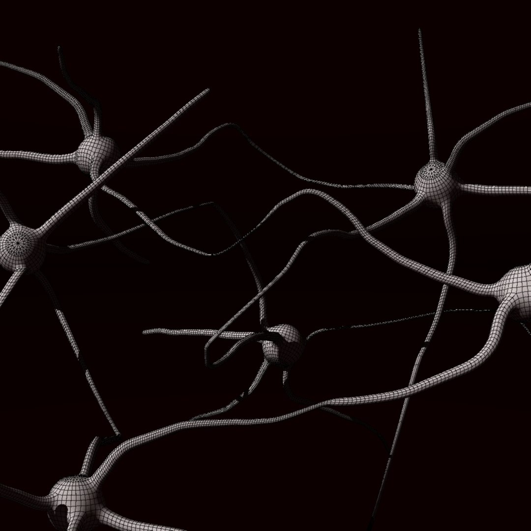 3d neurons works model