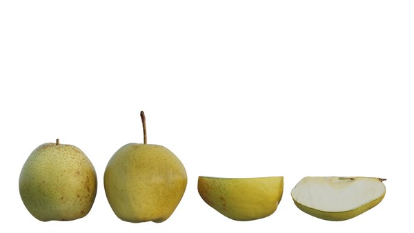 Pear model - TurboSquid 1906564