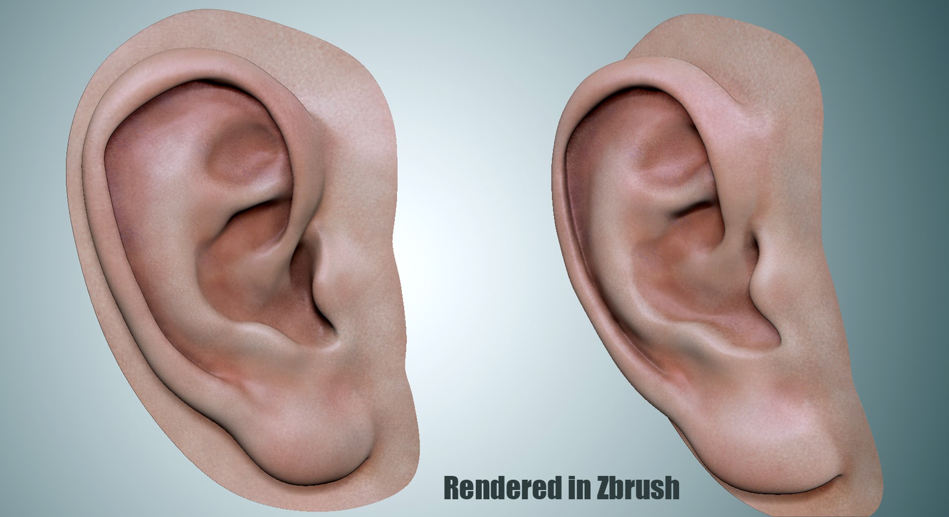 3ds max skin character head