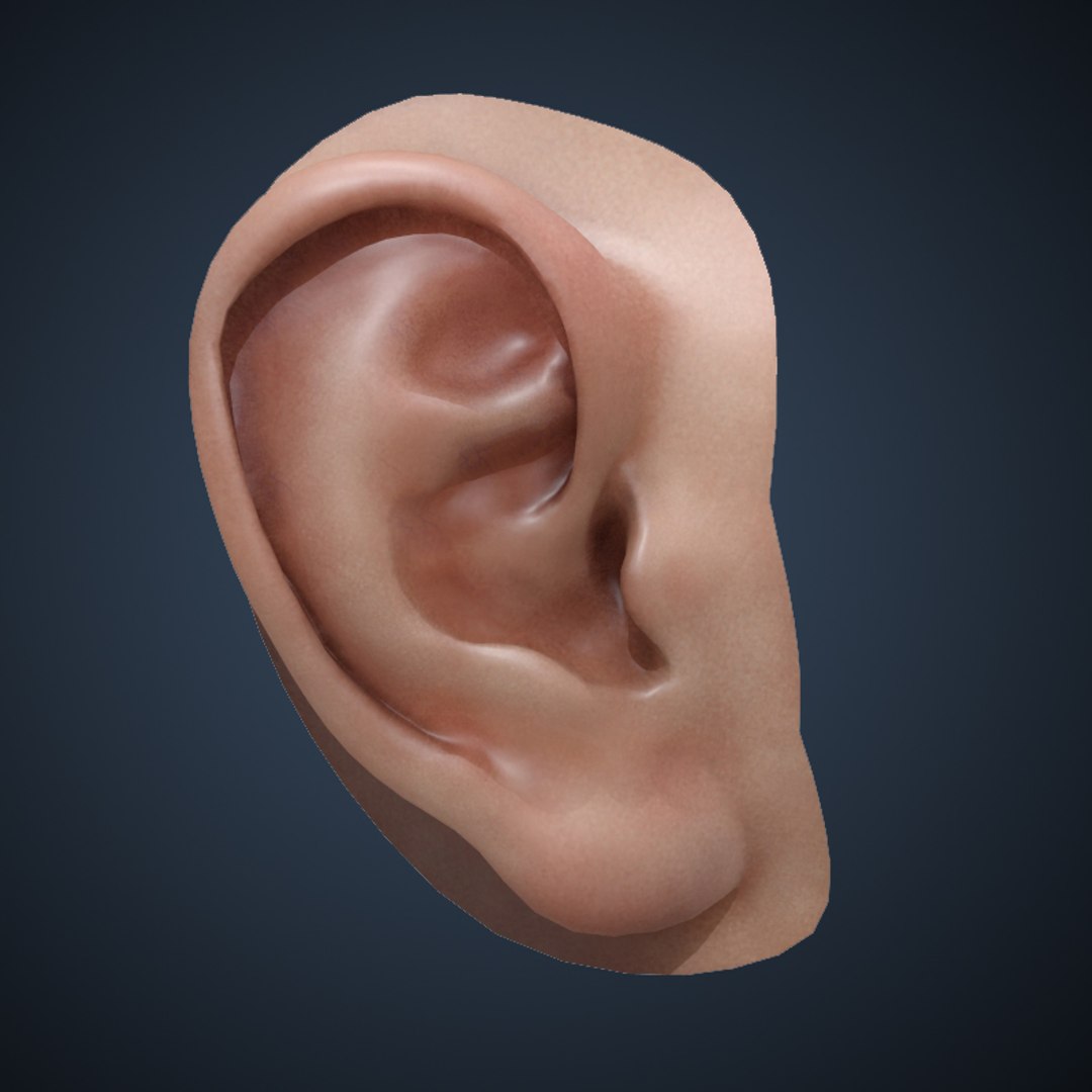 3ds max skin character head