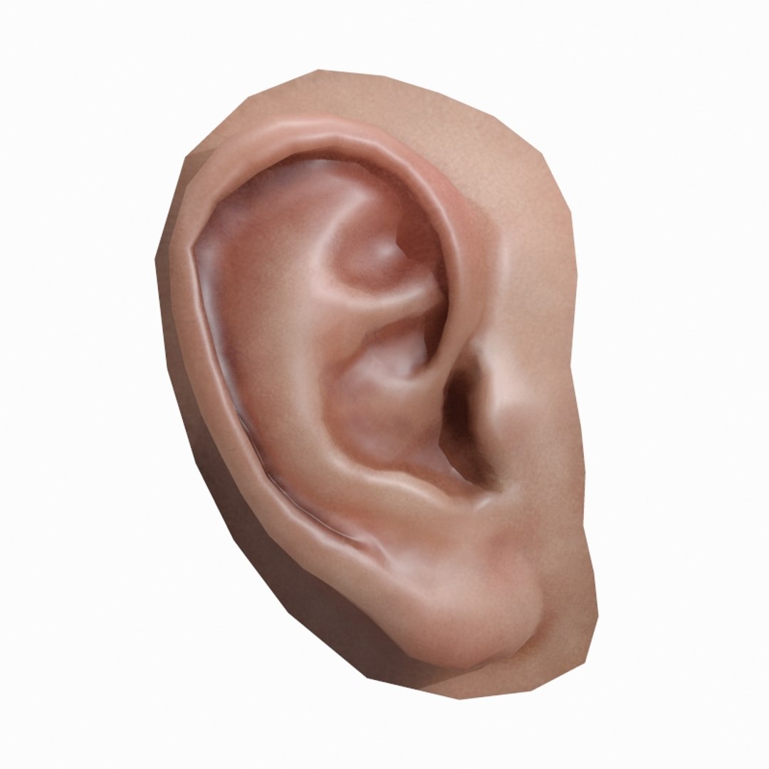 3ds max skin character head