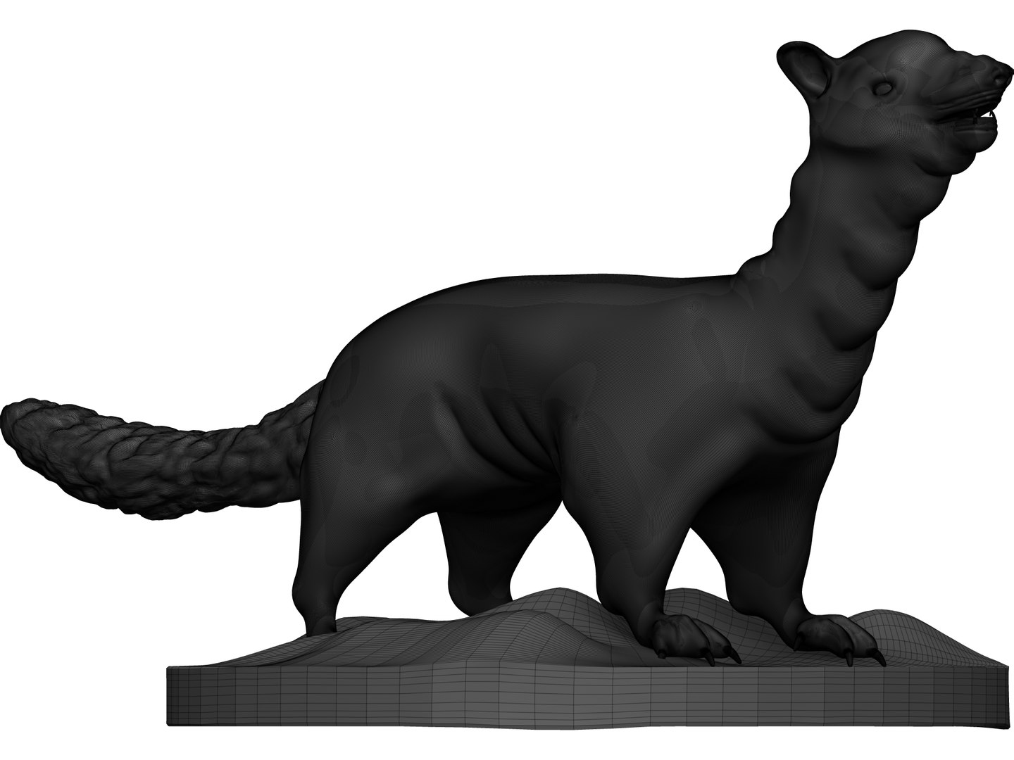 Realistic Weasle Model - TurboSquid 1874663