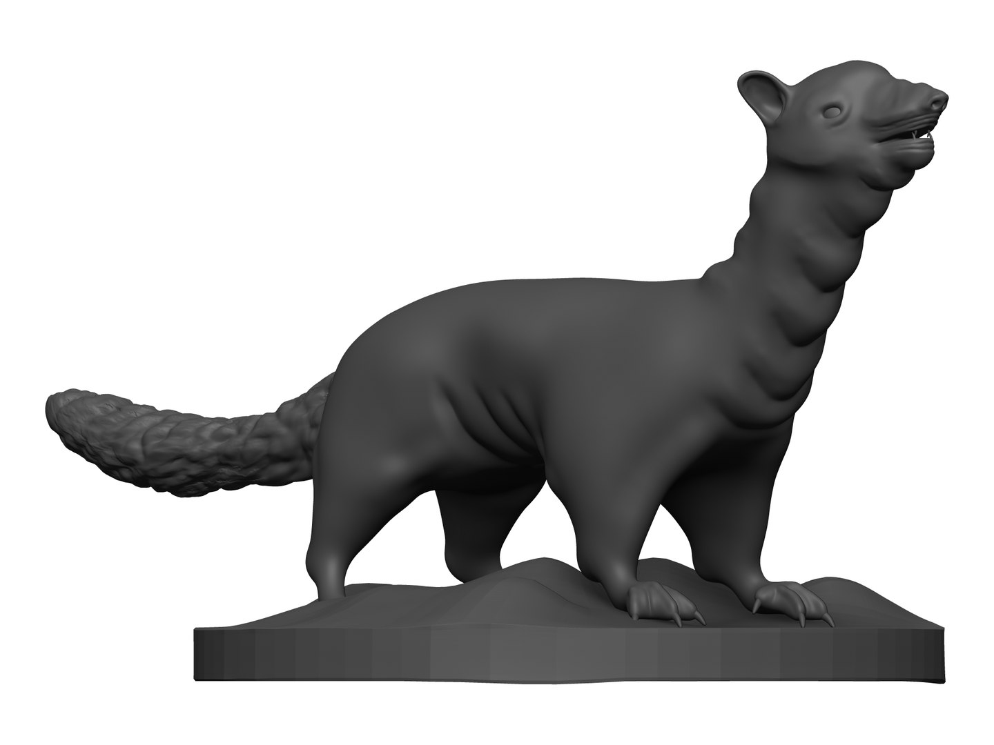 Realistic Weasle Model - TurboSquid 1874663