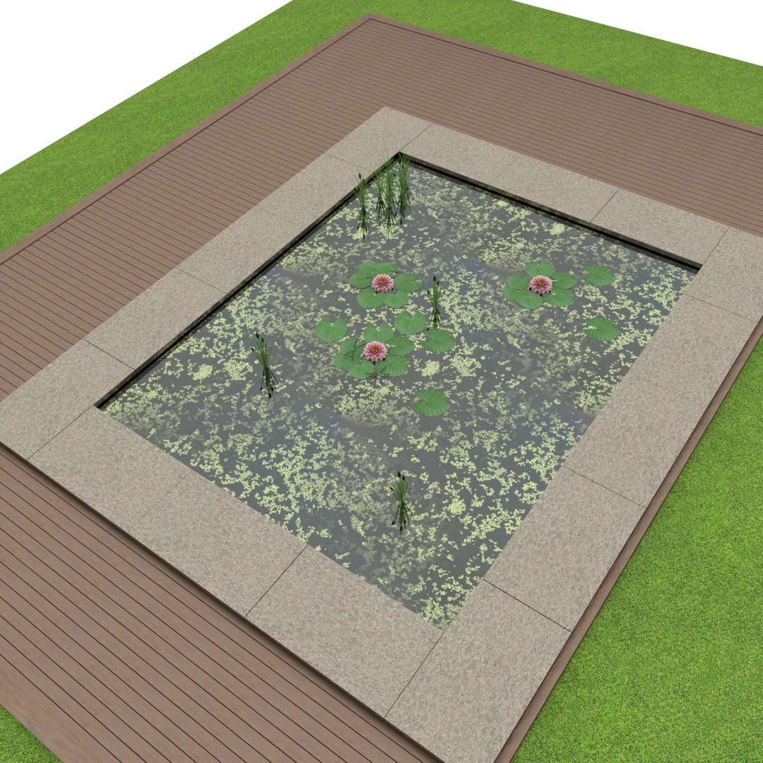 3D Pond - TurboSquid 1195347