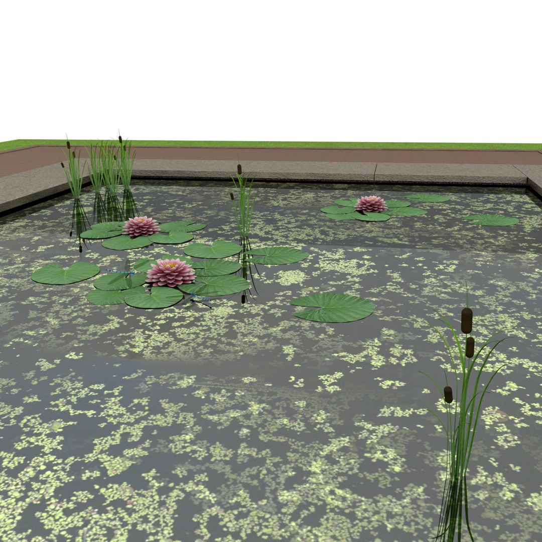 3D Pond - TurboSquid 1195347