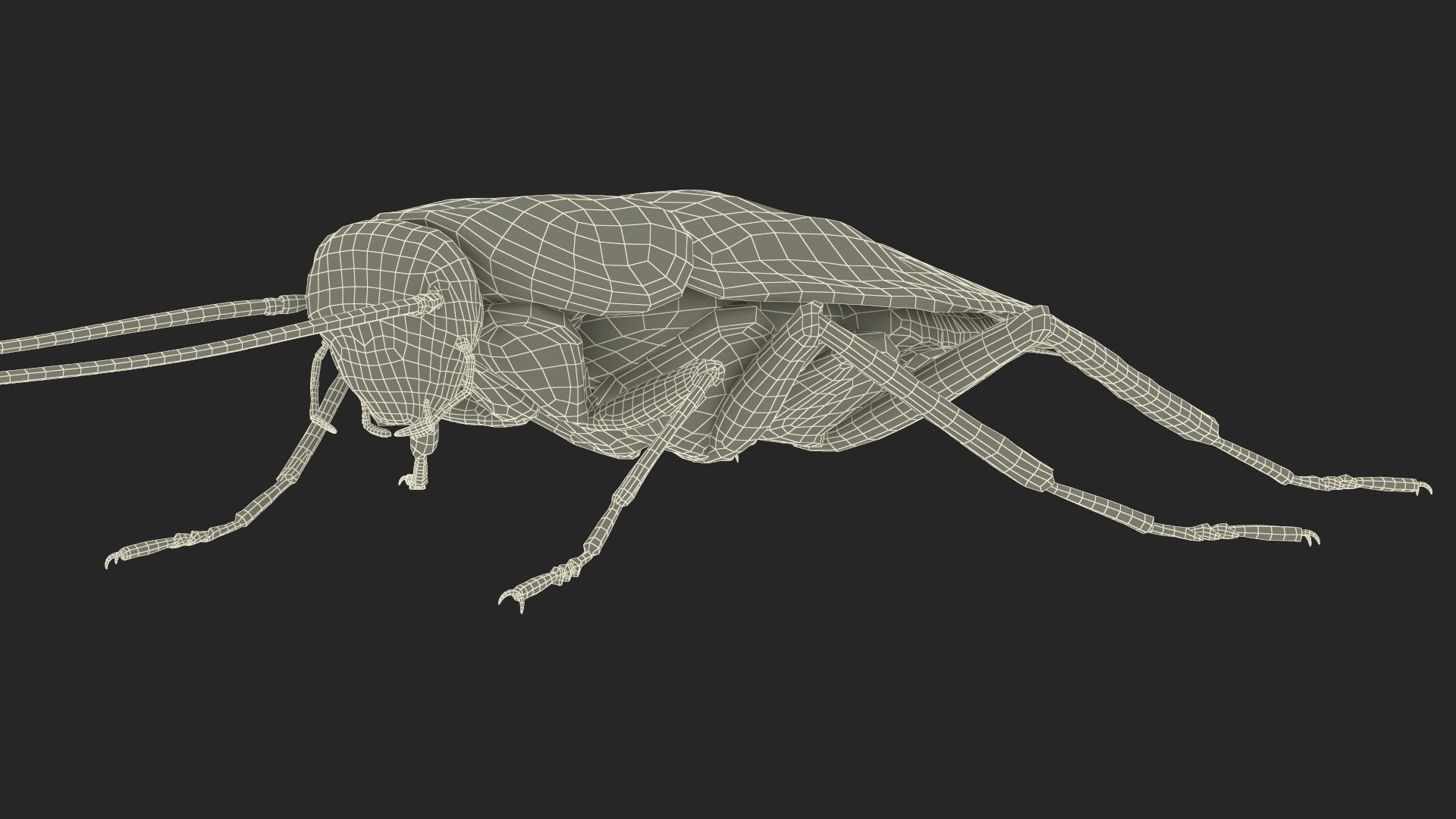 3D Realistic Cockroach Fur Rigged - TurboSquid 2384745