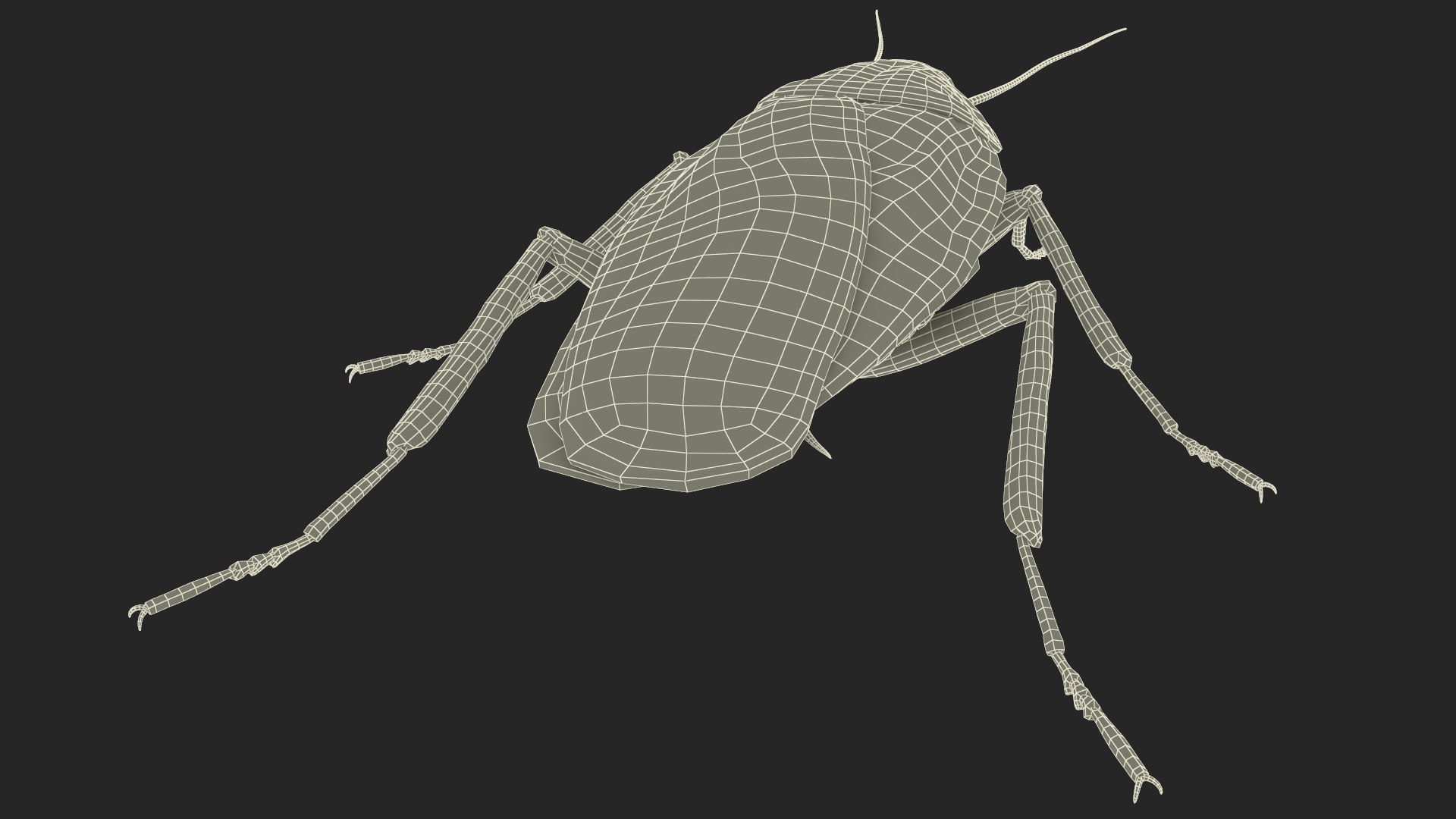 3D Realistic Cockroach Fur Rigged - TurboSquid 2384745