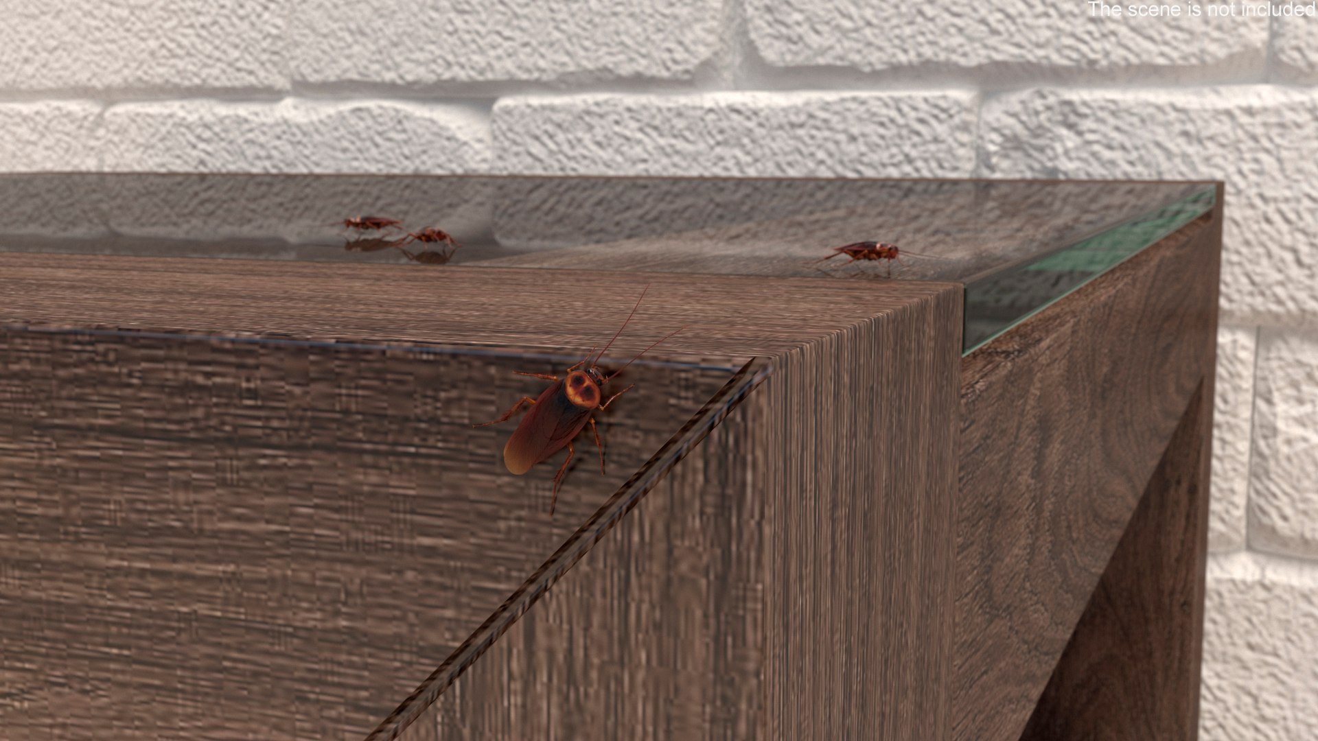 3D Realistic Cockroach Fur Rigged - TurboSquid 2384745