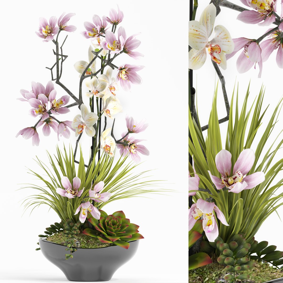 3d model flower set 21 3d model flower set 21