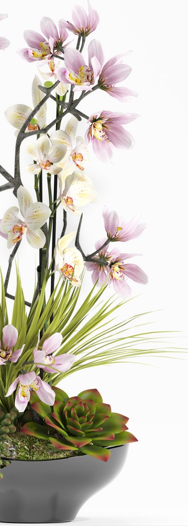 3d Model Flower Set 21