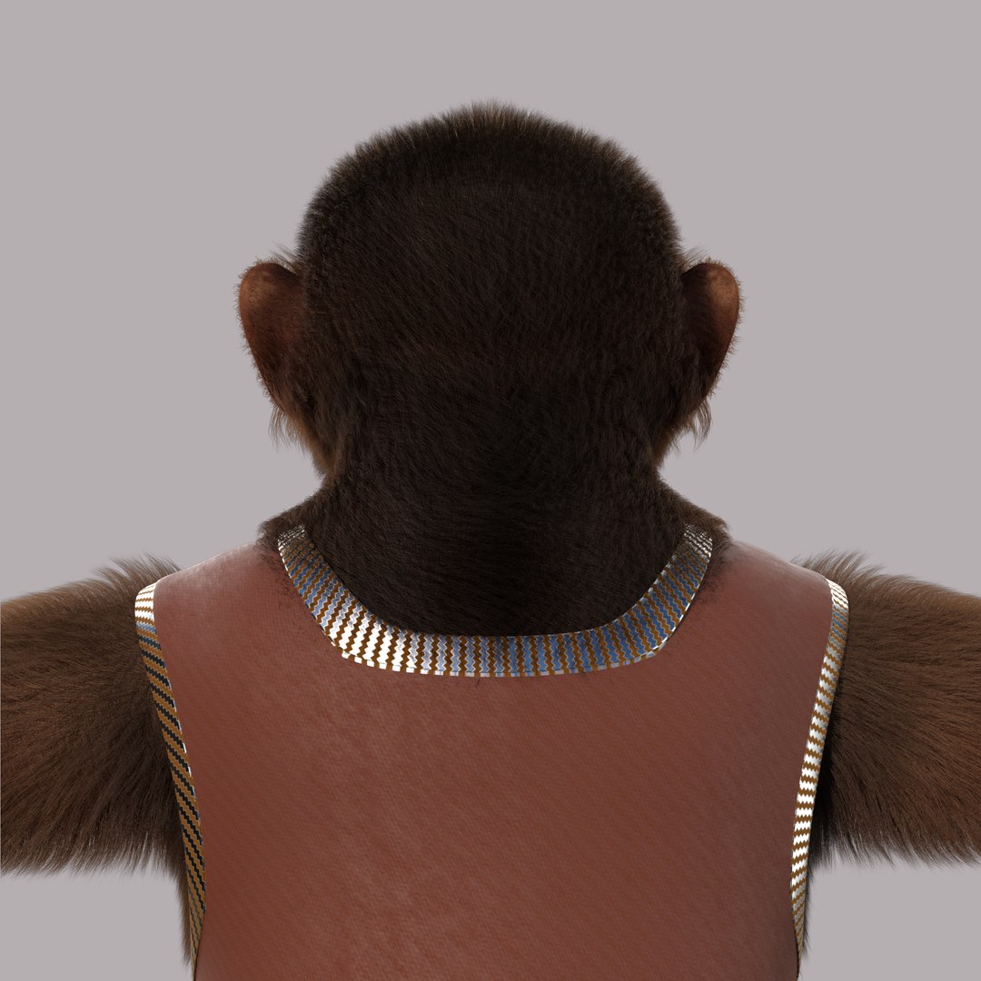 Cartoon Monkey Rigged 3D model - TurboSquid 2006901