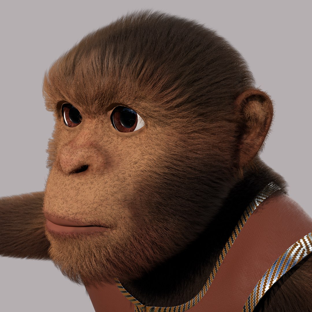 Cartoon Monkey Rigged 3D Model - TurboSquid 2006901