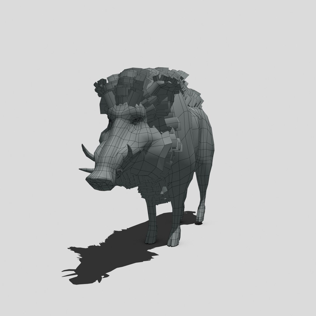 Wild Boar 3d Model