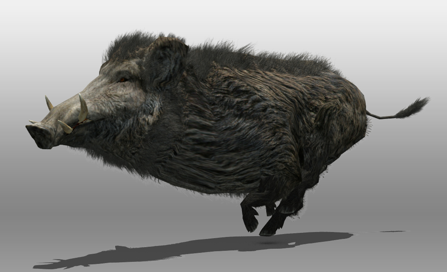 wild boar 3d model