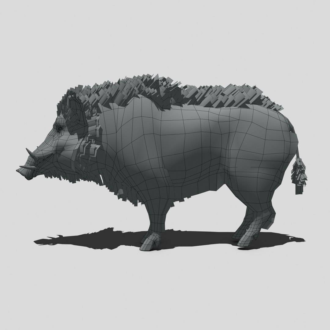 Wild Boar 3d Model