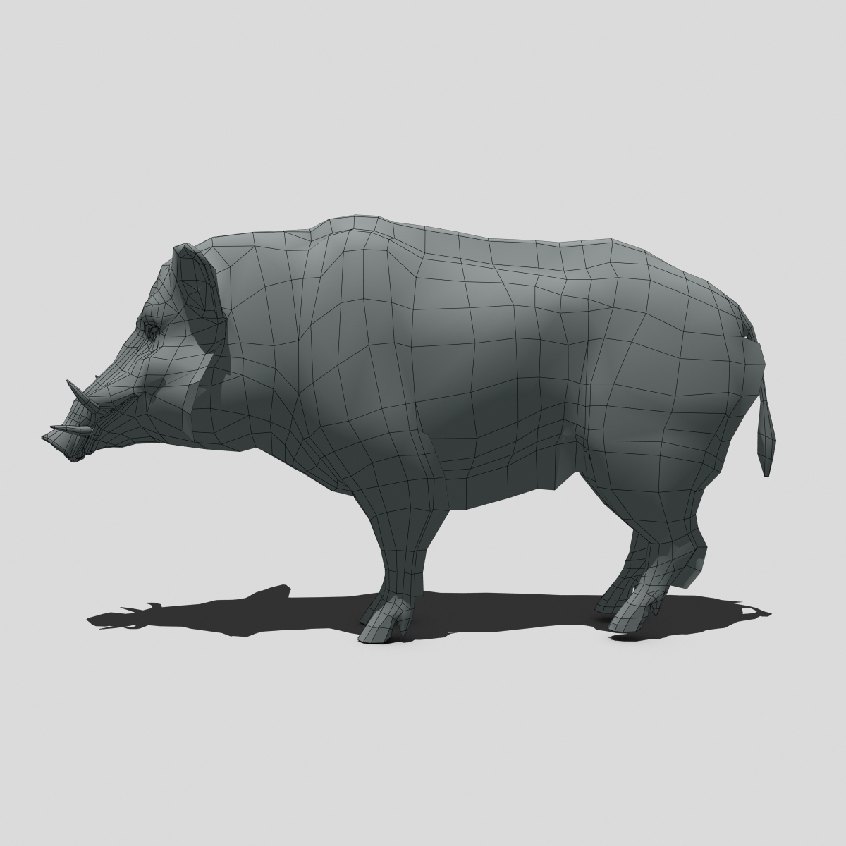 wild boar 3d model