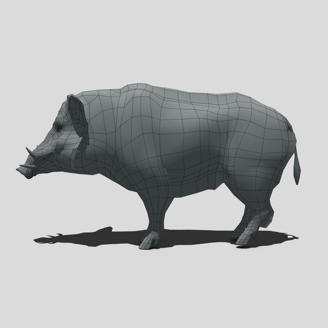 Wild Boar 3d Model