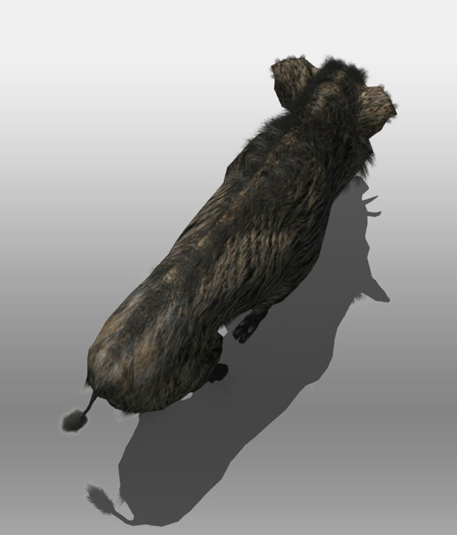 Wild Boar 3d Model