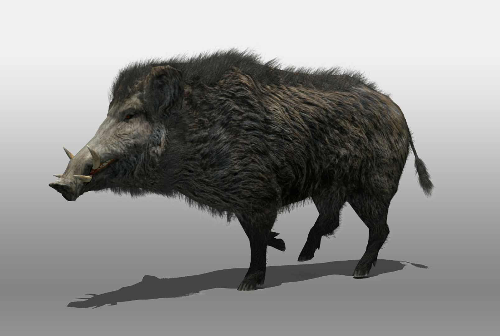 wild boar 3d model