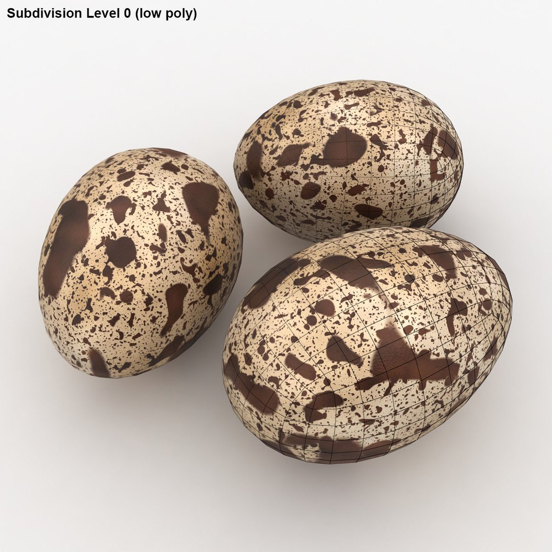 3d model realistic quail eggs