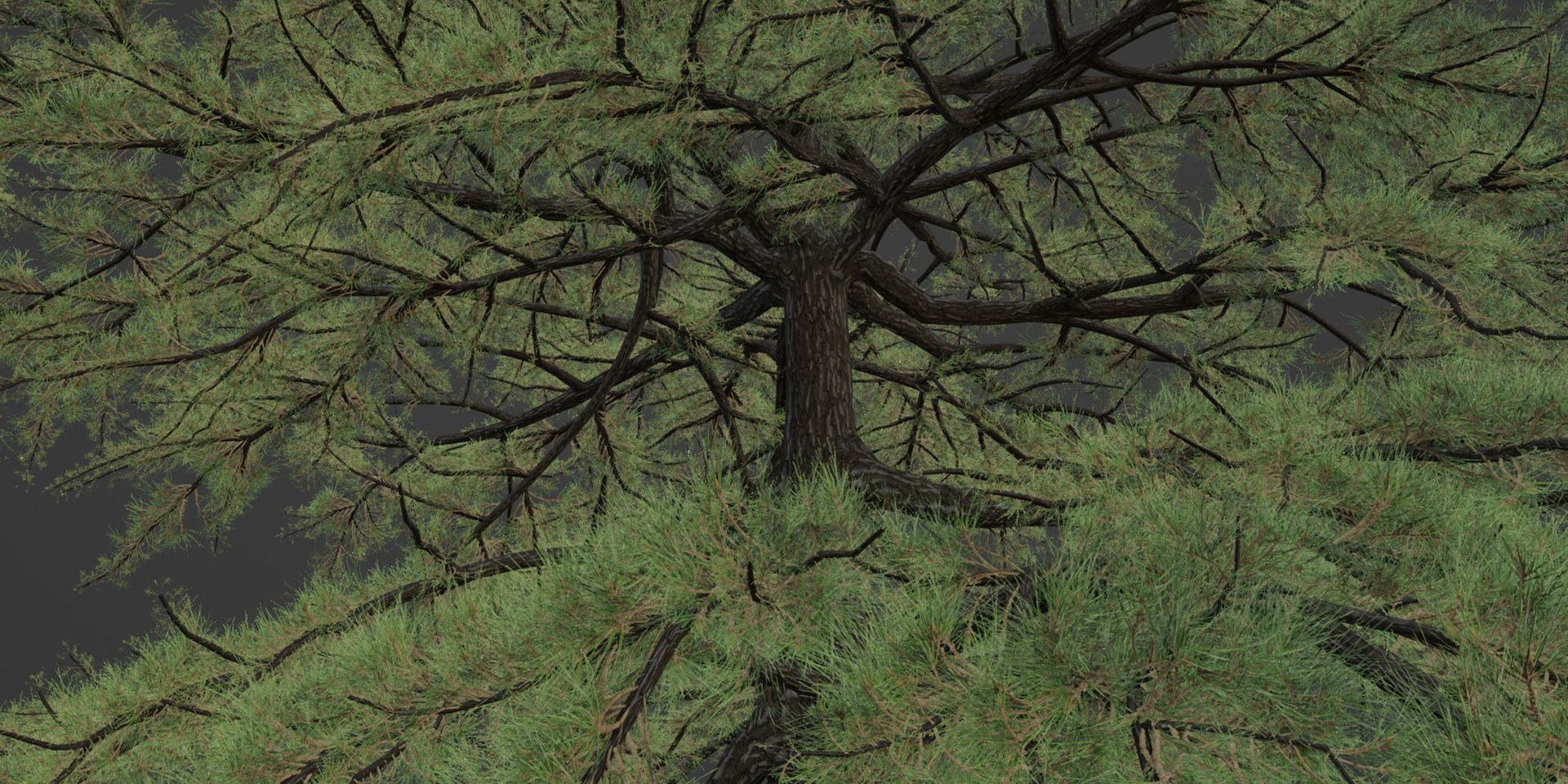 3D Conifer Trees Collection Vol 86-Blender - TurboSquid 2132493